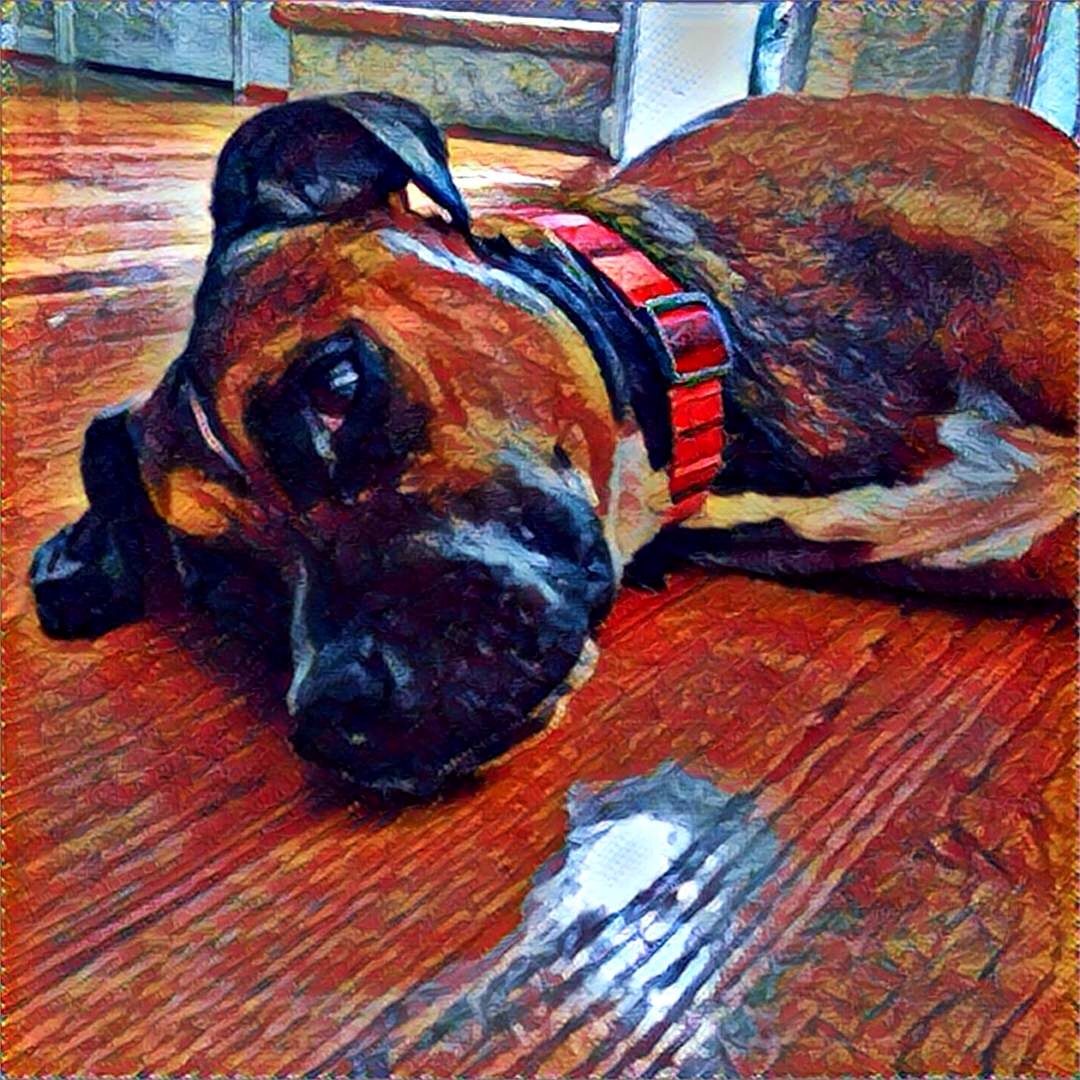A day at the gallery / How to have fun with Prisma – Allie Potts